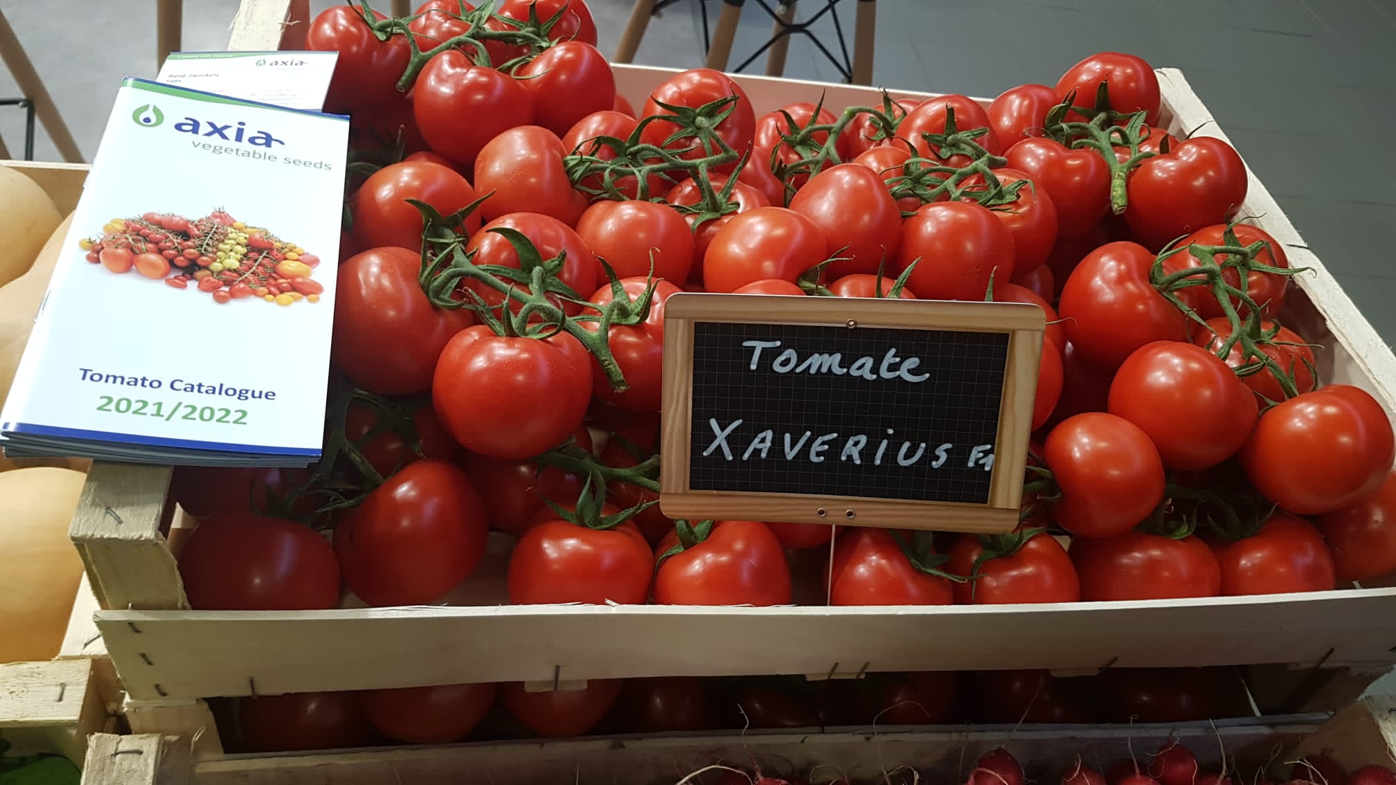 Sival Angers – AXIA seeds