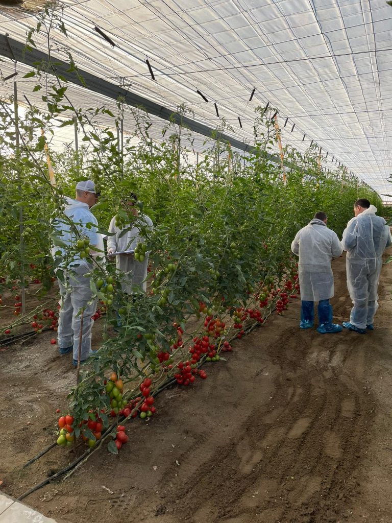 selection for the new season – AXIA seeds